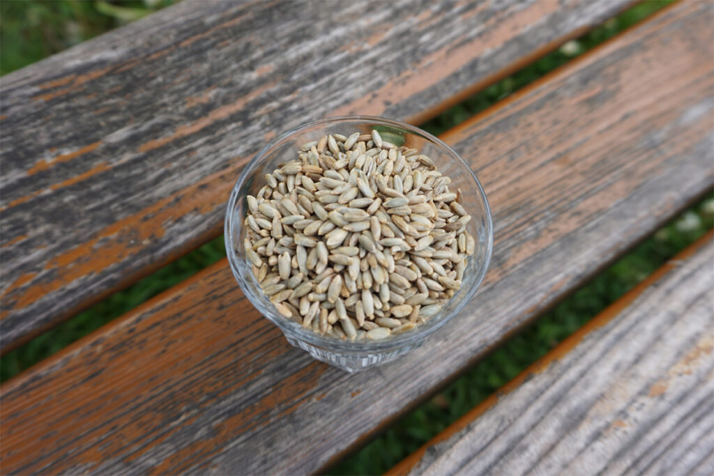 Roggen Verwendung: Zubereitung, Nährwerte & einfache Rezeptideen ...